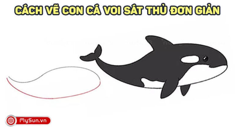 Cách vẽ tranh tô màu hình con cá voi sát thủ cho bé đẹp đơn giản