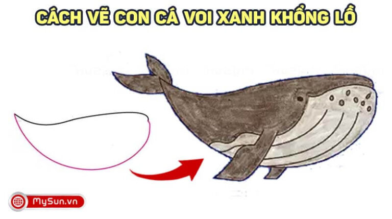 Cách vẽ hình và tô màu tranh ảnh con cá voi xanh cute đơn giản