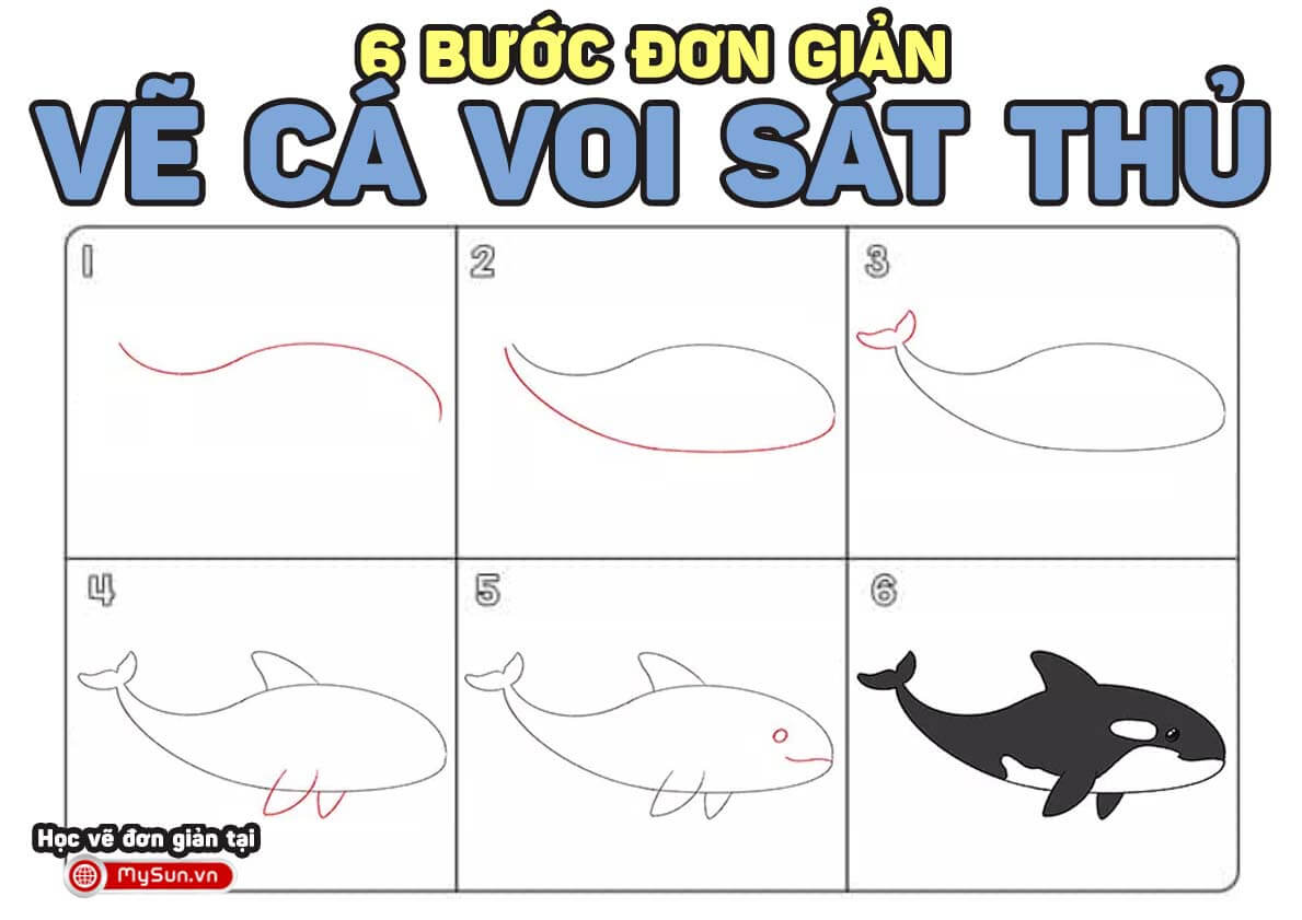 Cách vẽ tranh tô màu hình con cá voi sát thủ cho bé đẹp đơn giản